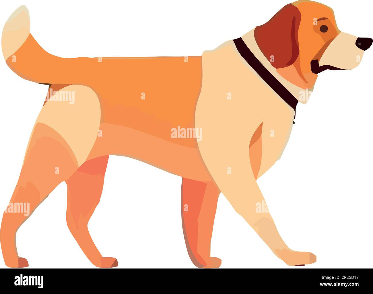 Cute purebred puppy walking, symbol of loyalty Stock Vector Image & Art ...