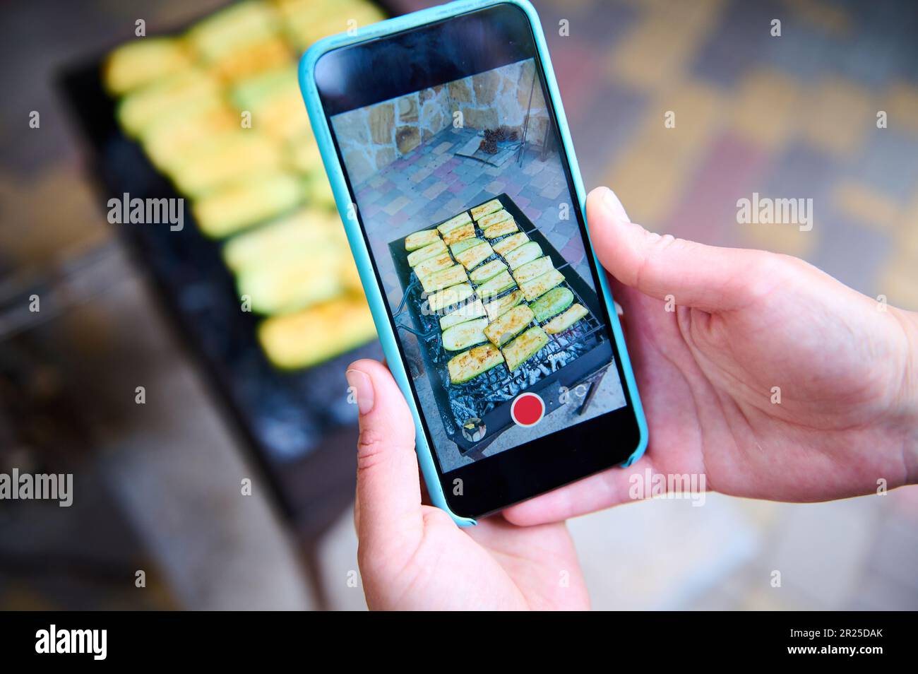 Female hands holding mobile phone in live view mode and photographing ...