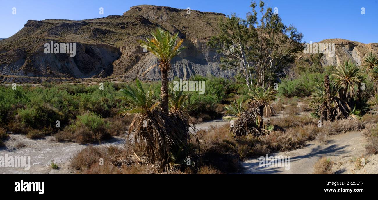 Location of Lawrence of Arabia oasis scene in Tabernas desert ...