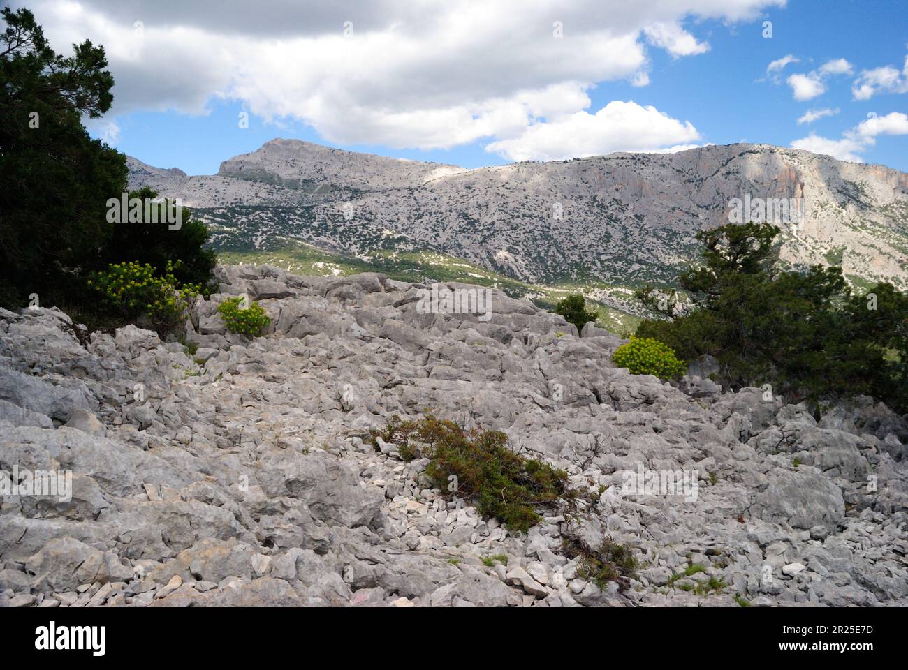 The path to the nuragic village of Monte Tiscali, in background ...
