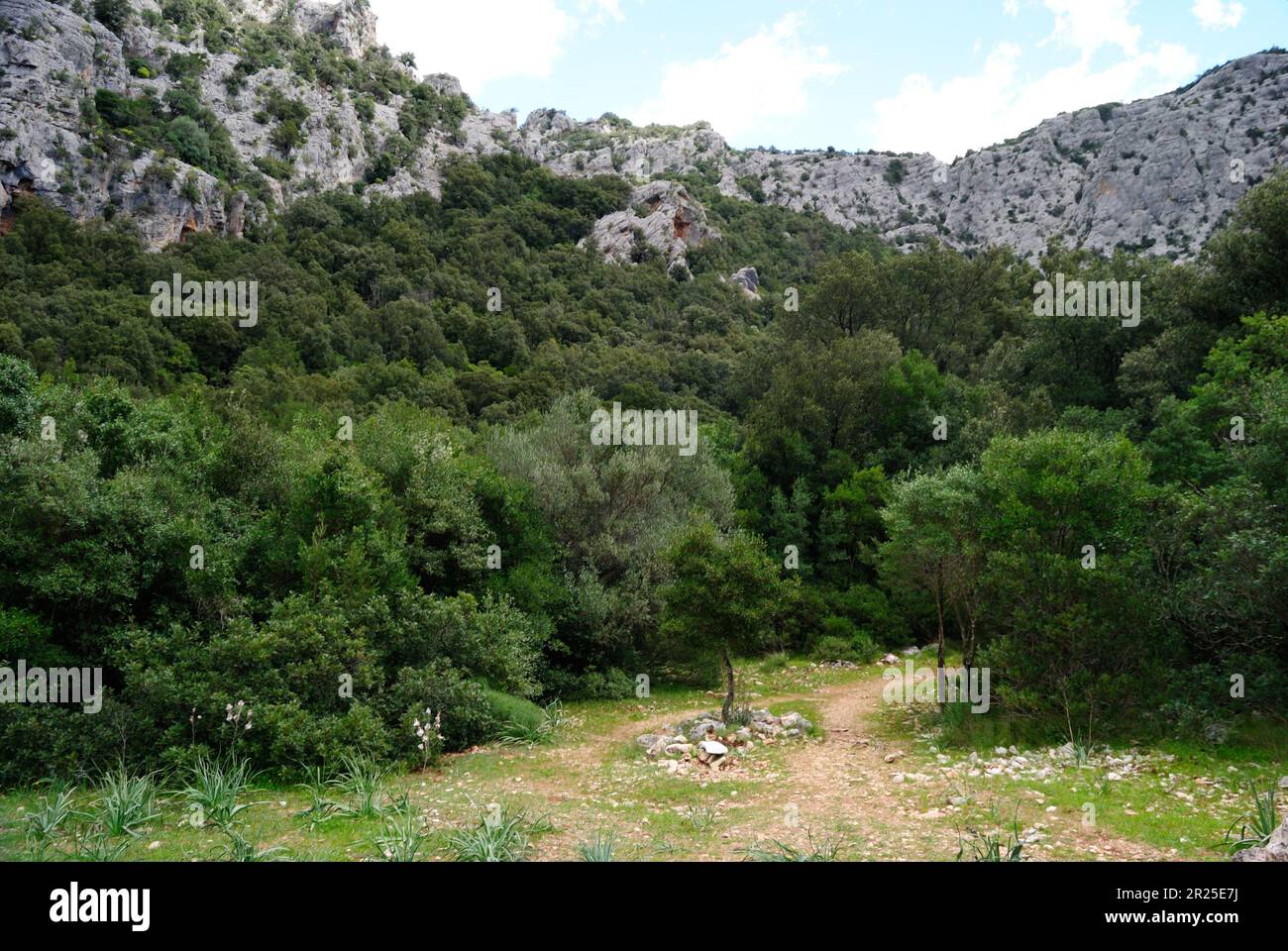 The path to the nuragic village of Monte Tiscali, the valley of Surtana ...