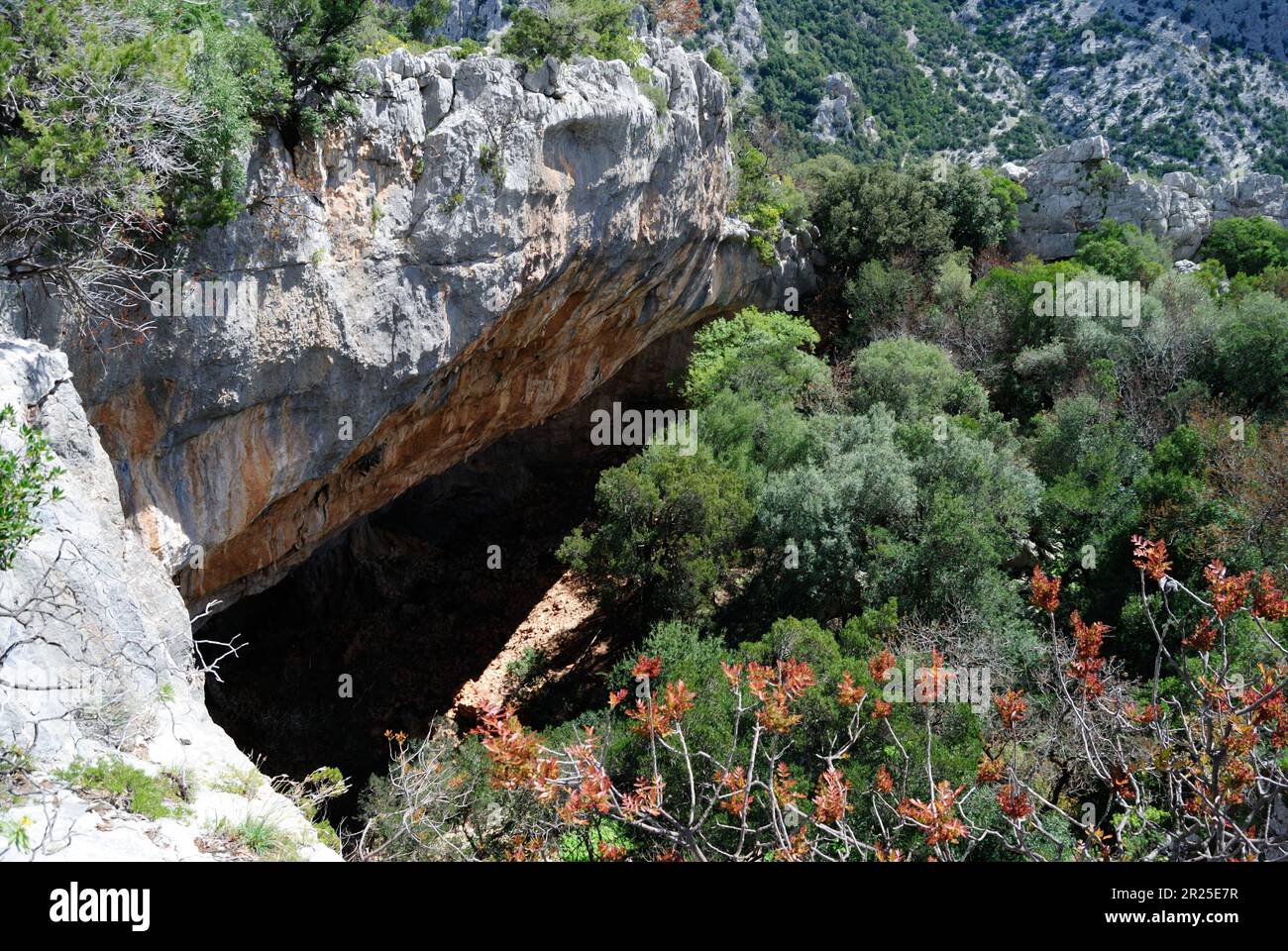 The path to the nuragic village of Monte Tiscali, the sinkhole of Monte ...
