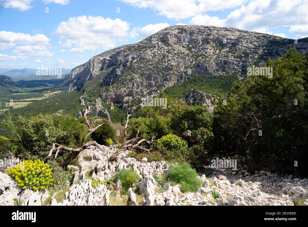 The path to the nuragic village of Monte Tiscali, view of Monte ...