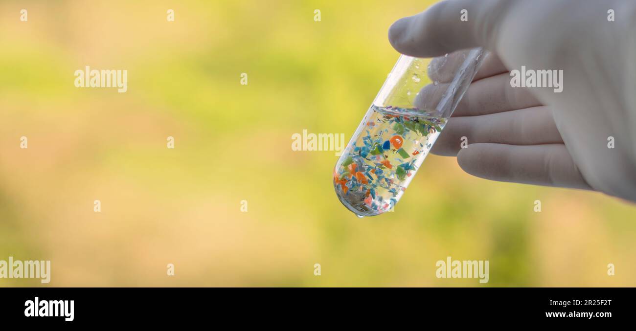 A scientist with medical gloves holding a test tube full of micro ...