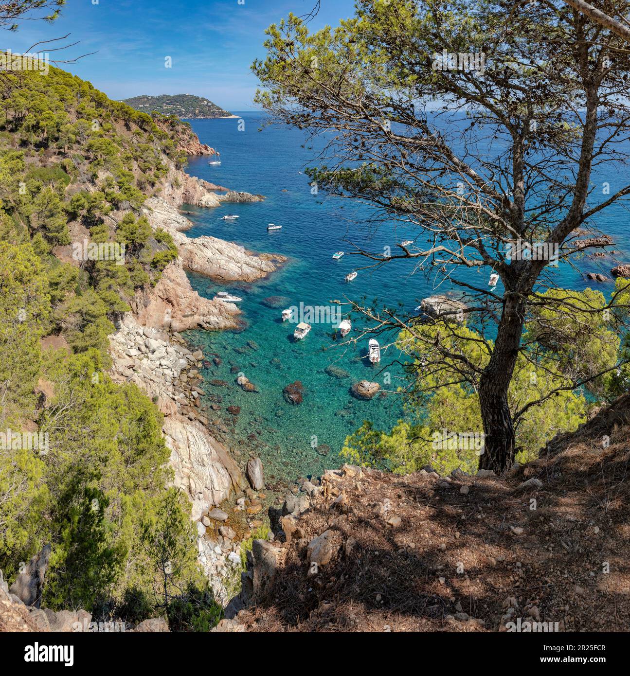 Cala del crit hi-res stock photography and images - Alamy