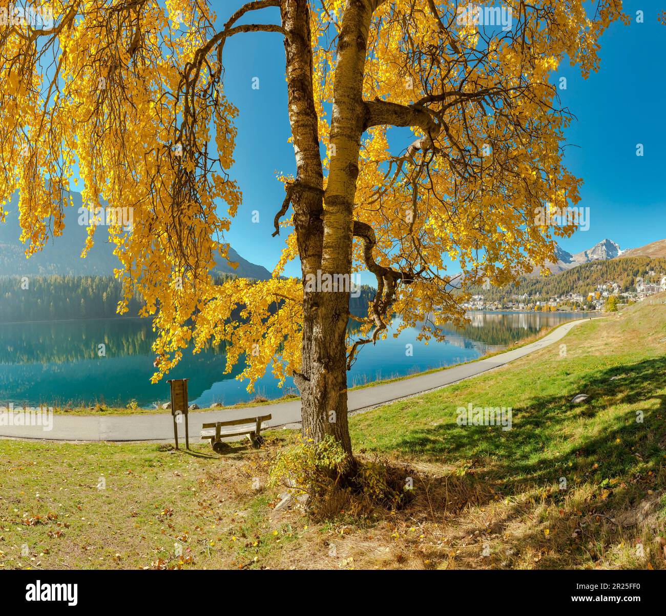 Lake Sankt Moritz, autumn colours *** Local Caption *** Sankt Moritz ...