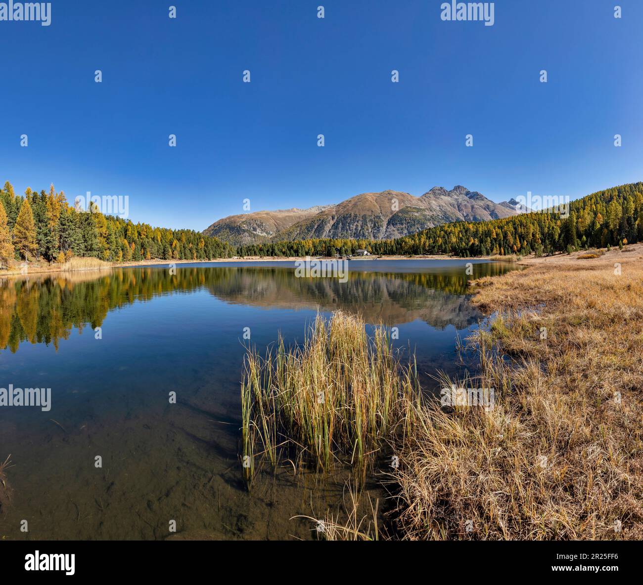 Lake Lej da Staz *** Local Caption *** Sankt Moritz, , Switzerland ...