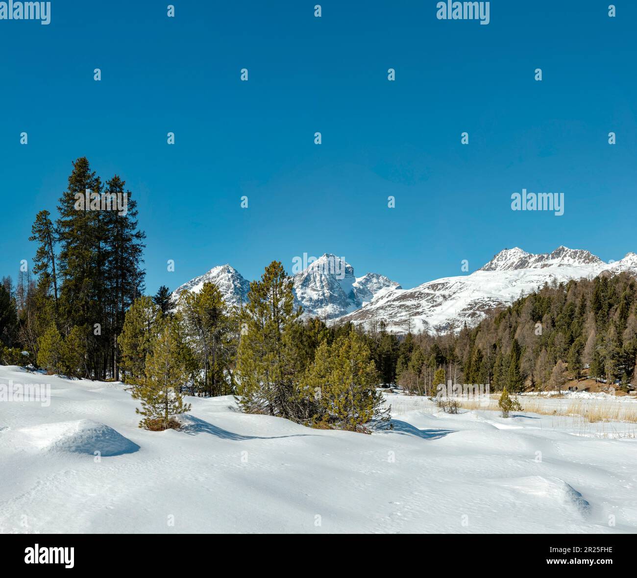Lake Lej da Staz, Piz Albana, Piz Julier, Piz Suvretta *** Local ...
