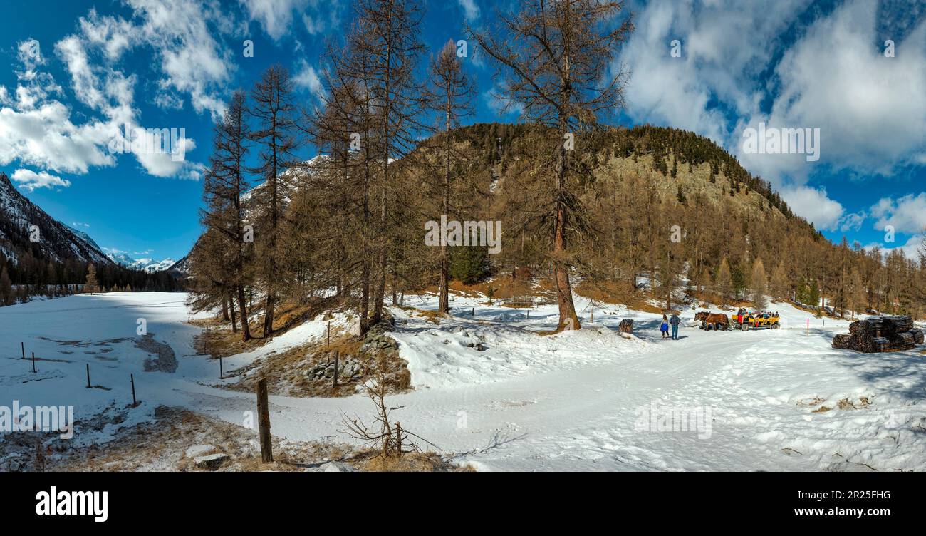 Horse-drawn carriage at Val Roseg *** Local Caption *** Pontresina ...
