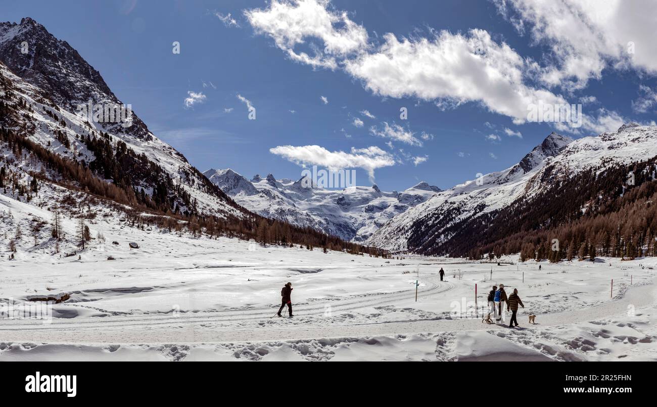 Hikers and cross-country skiers, Val Roseg with view of the Roseg ...