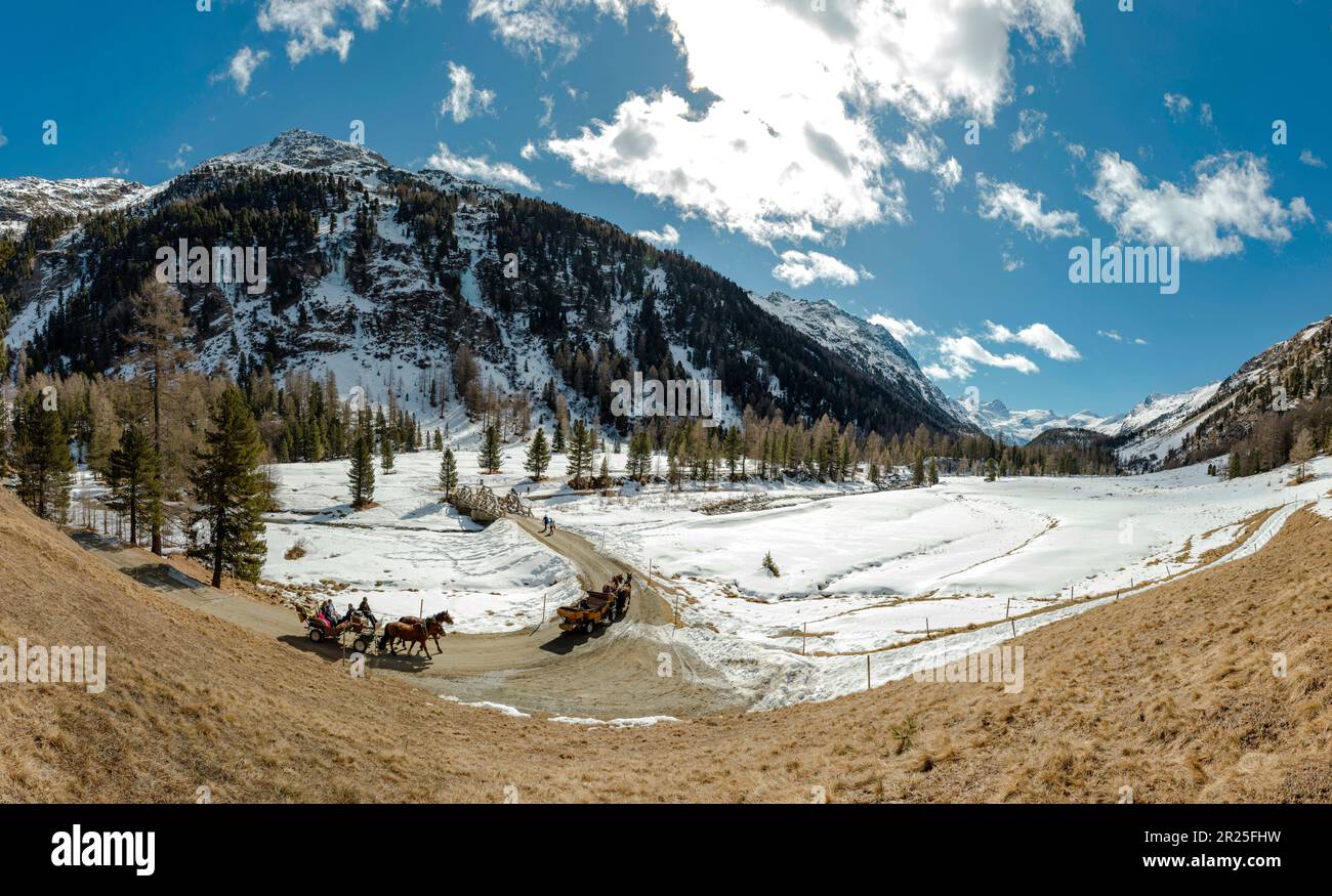 Horse-drawn carriage at Val Roseg *** Local Caption *** Pontresina ...