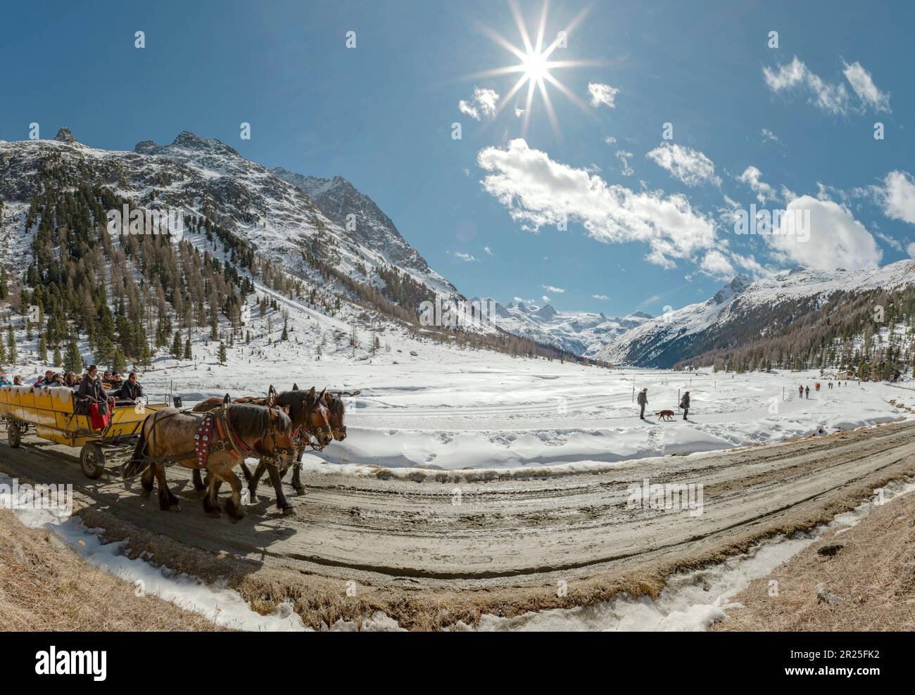 Horse-drawn carriage at Val Roseg *** Local Caption *** Pontresina ...