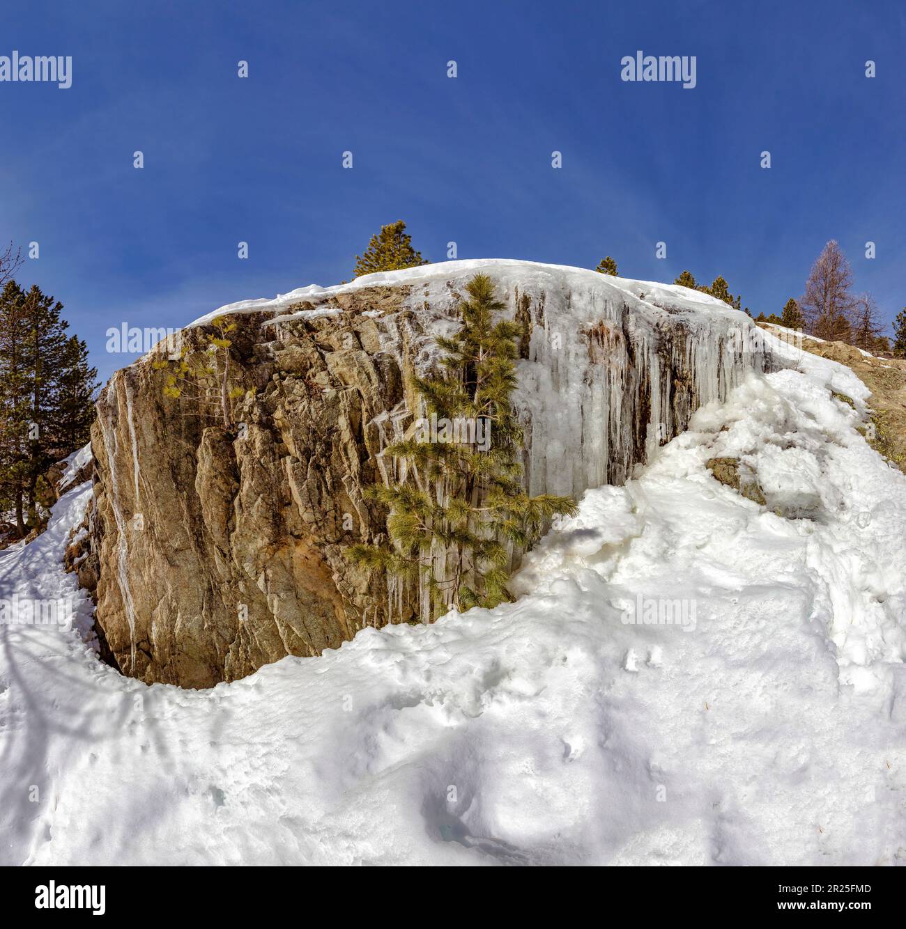 Ice spikes hang on a rock *** Local Caption *** Pontresina ...
