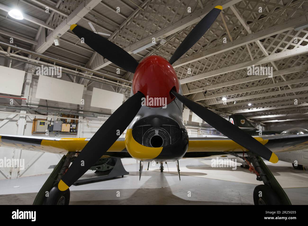 Tempest fighter raf hi-res stock photography and images - Alamy