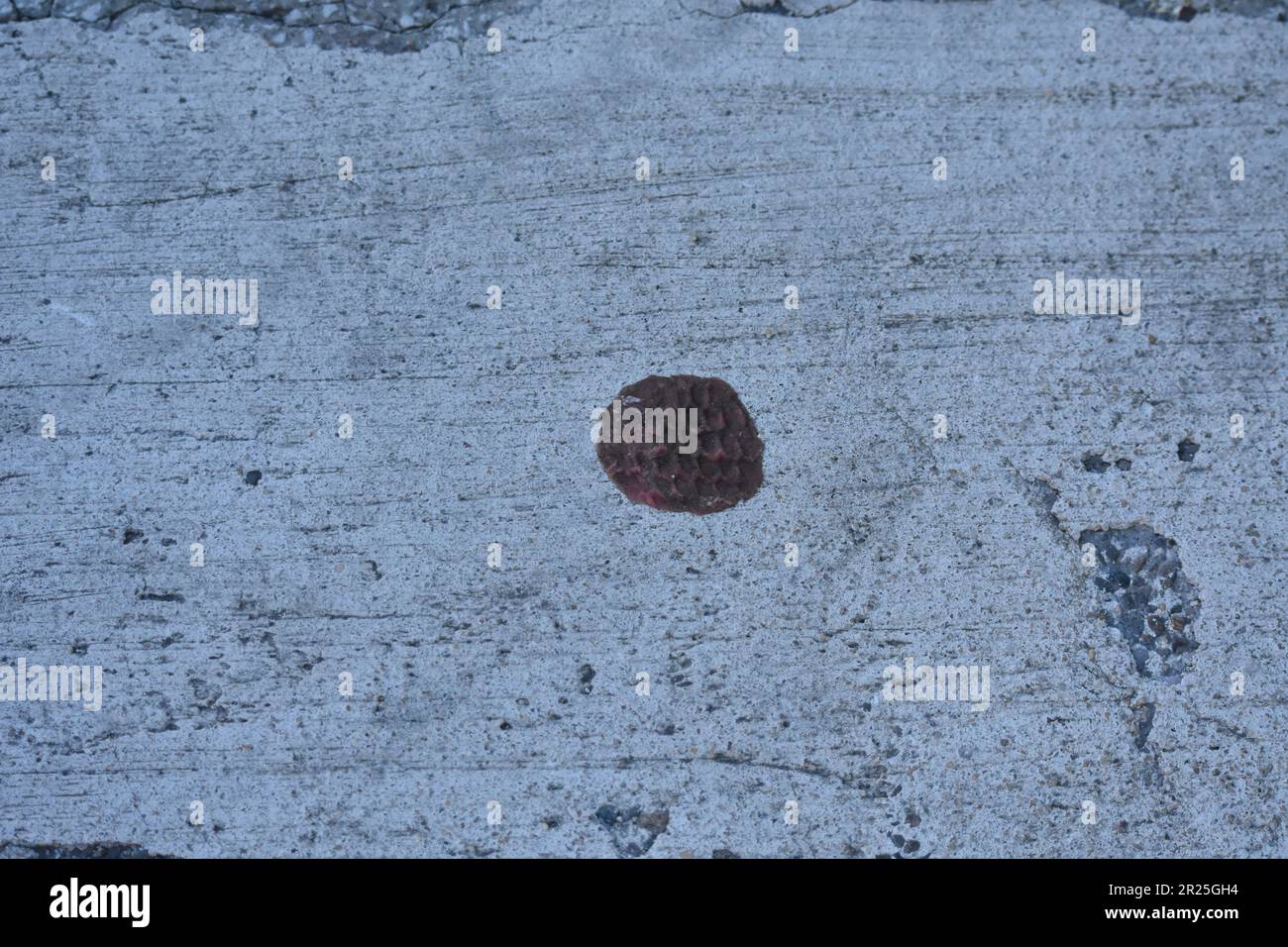 Blood stains from victims seen on the ground at the crime scene. Three ...