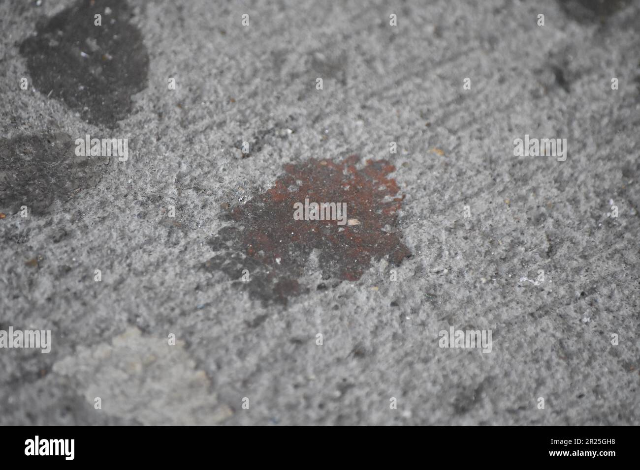 Blood stains from victims seen on the ground at the crime scene. Three ...