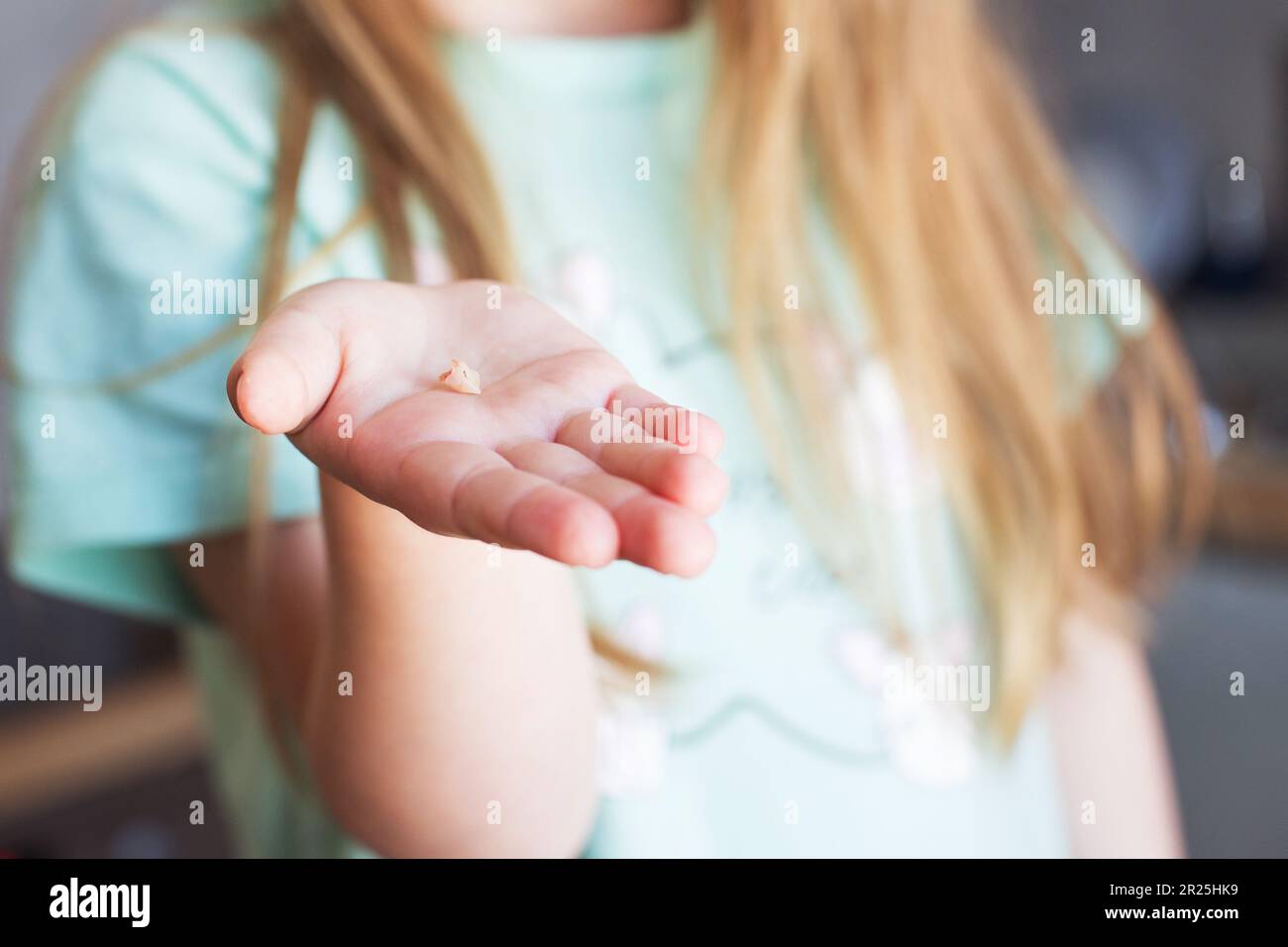 Little girl's hand holding and showing her fallen milk front tooth ...
