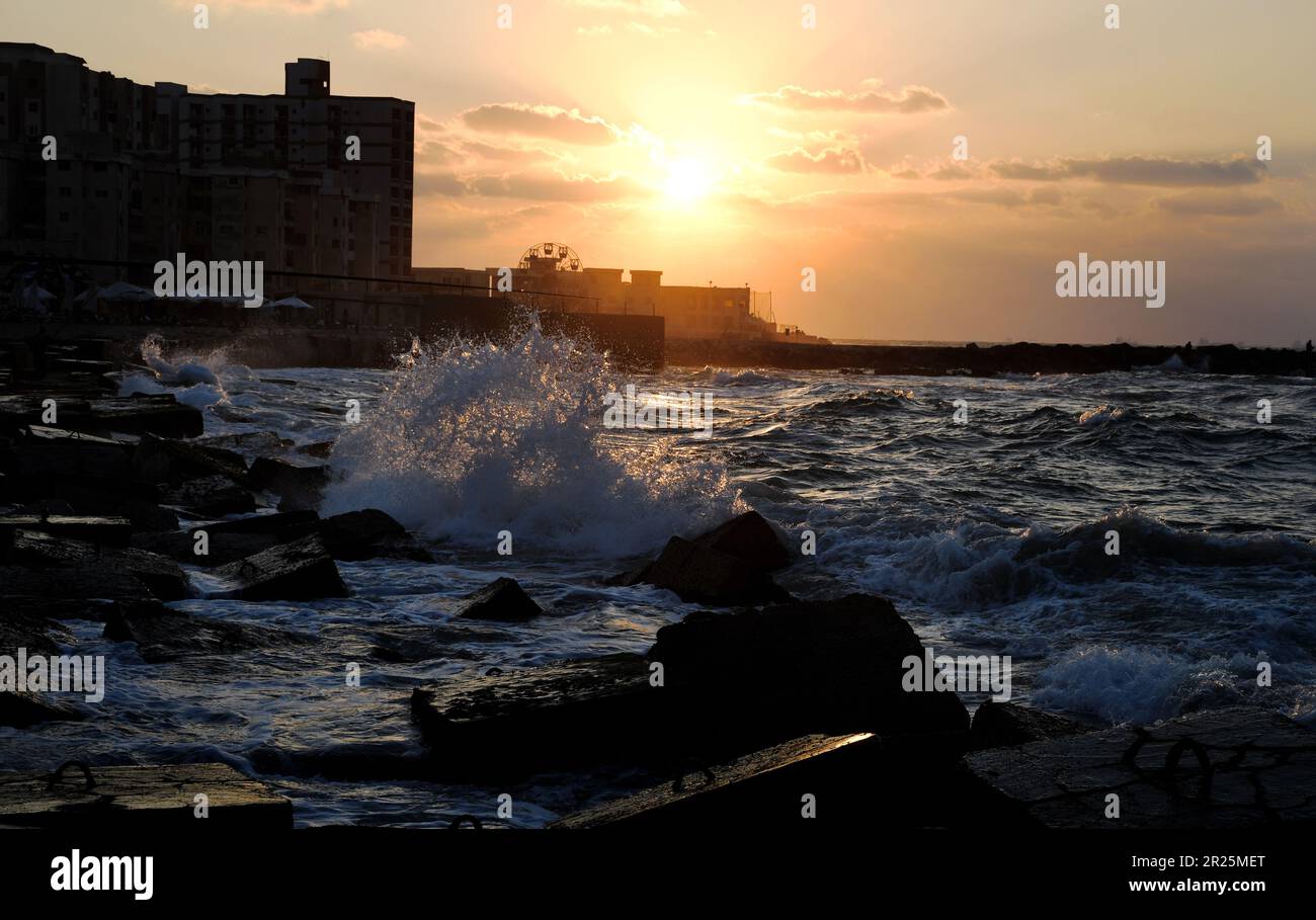 Big waves breaking on the rocks at sunset in Alexandria, Egypt Stock ...