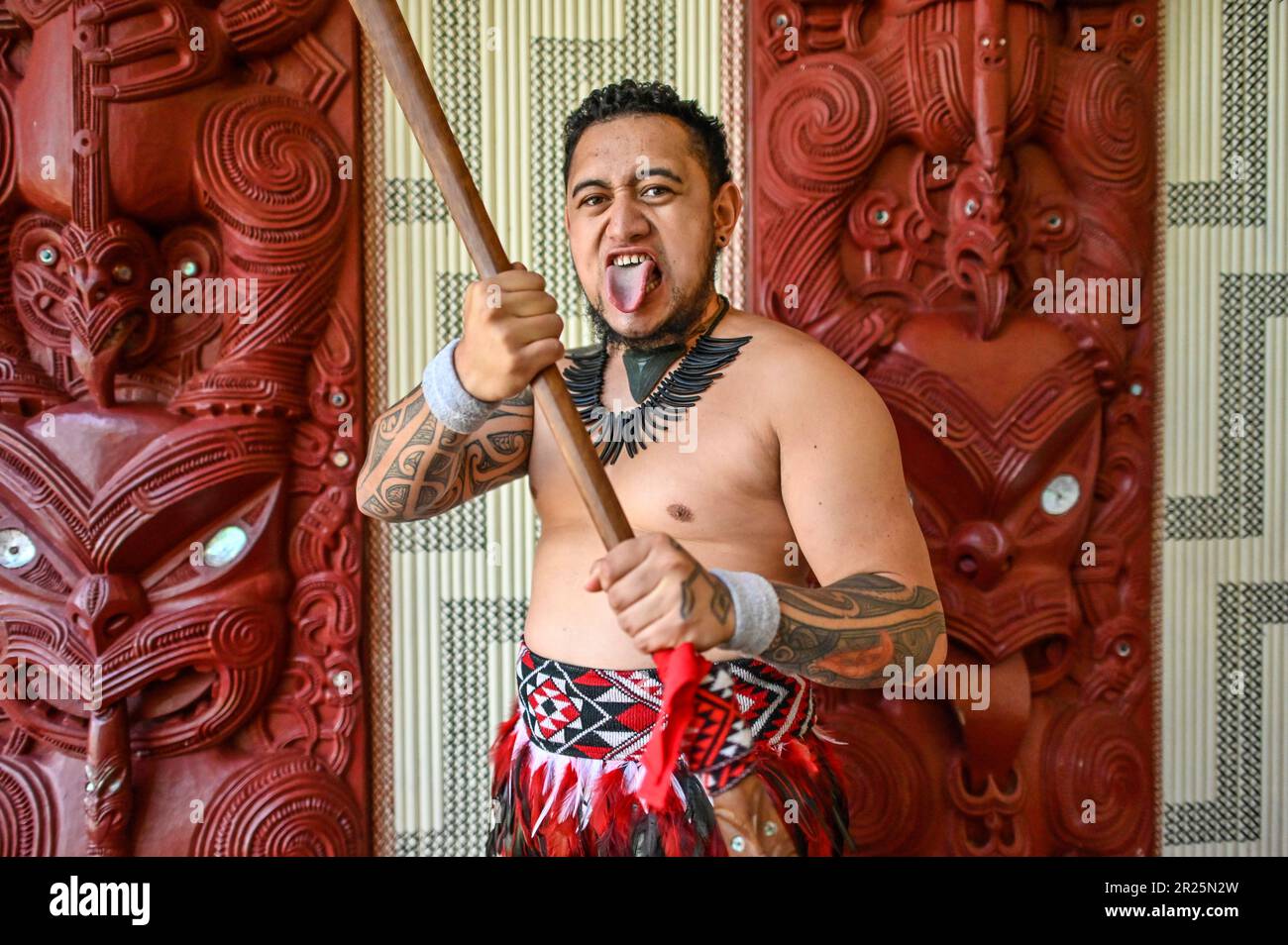 Sticking the tongue out, also known as pukana, is a traditional Māori ...