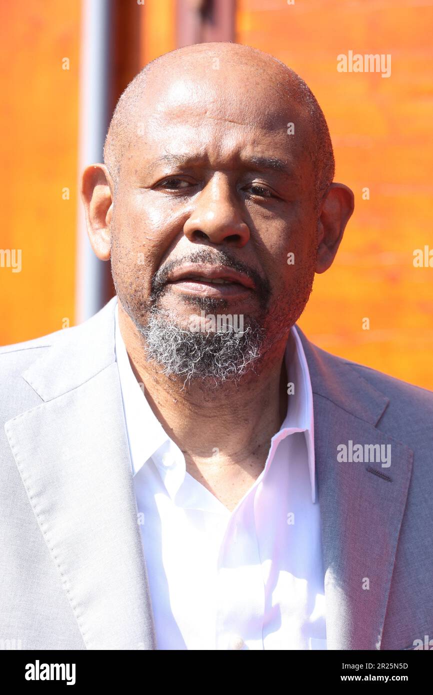 Forest Whitaker is pictured during the presentation of the Whitaker ...