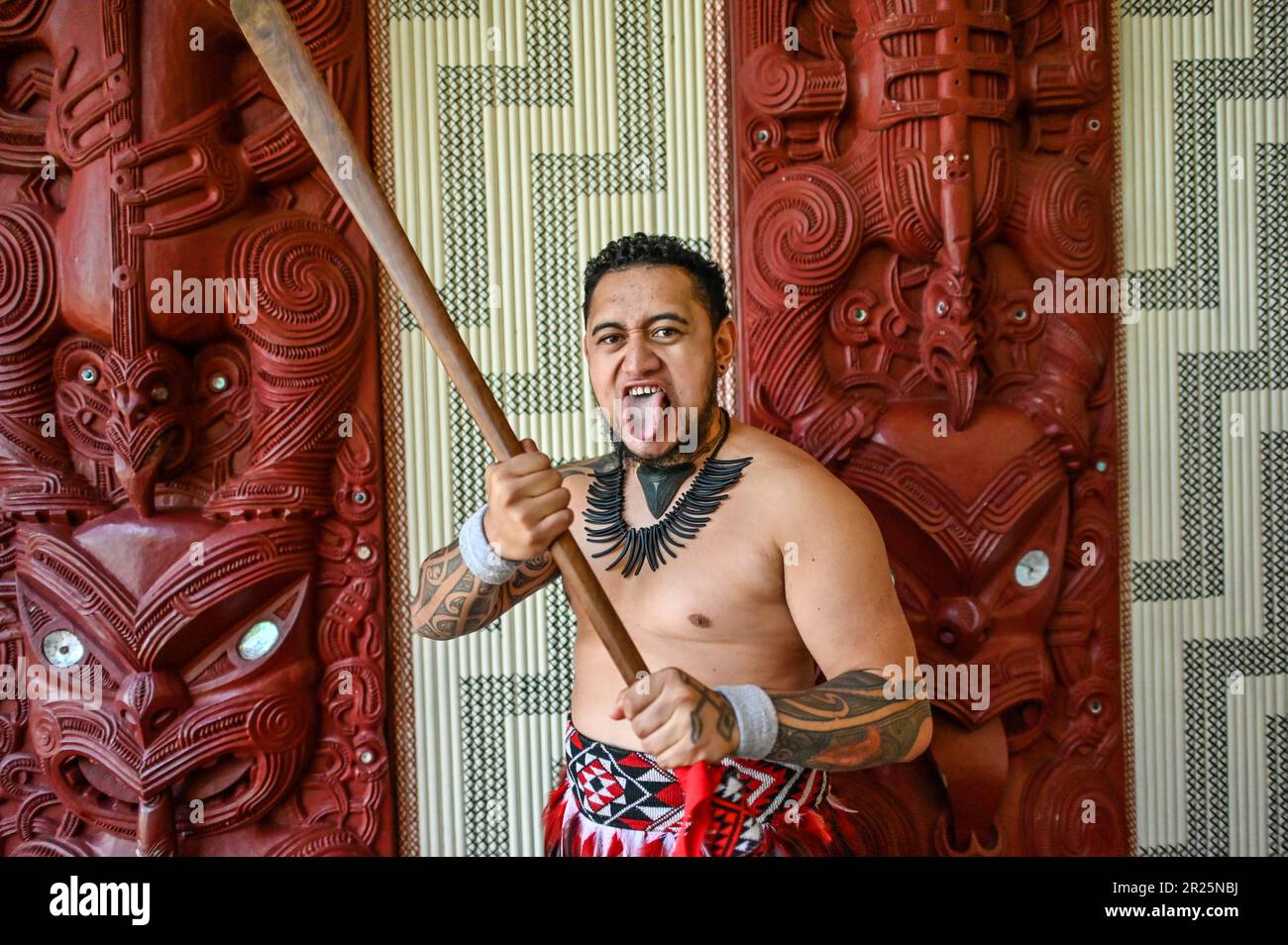 Sticking the tongue out, also known as pukana, is a traditional Māori ...