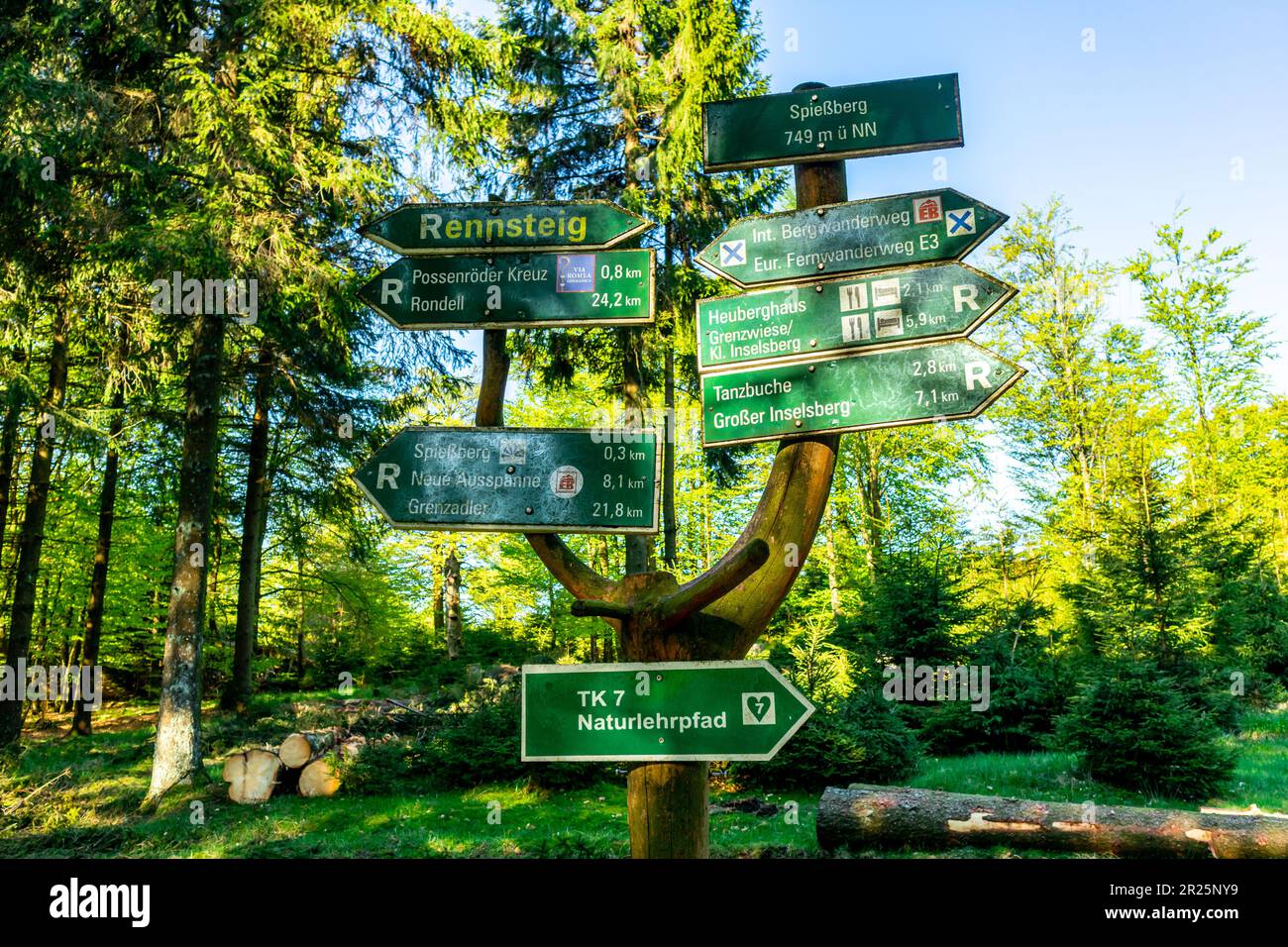 First steps along the Rennsteig between Hörschel and Blankenstein in ...