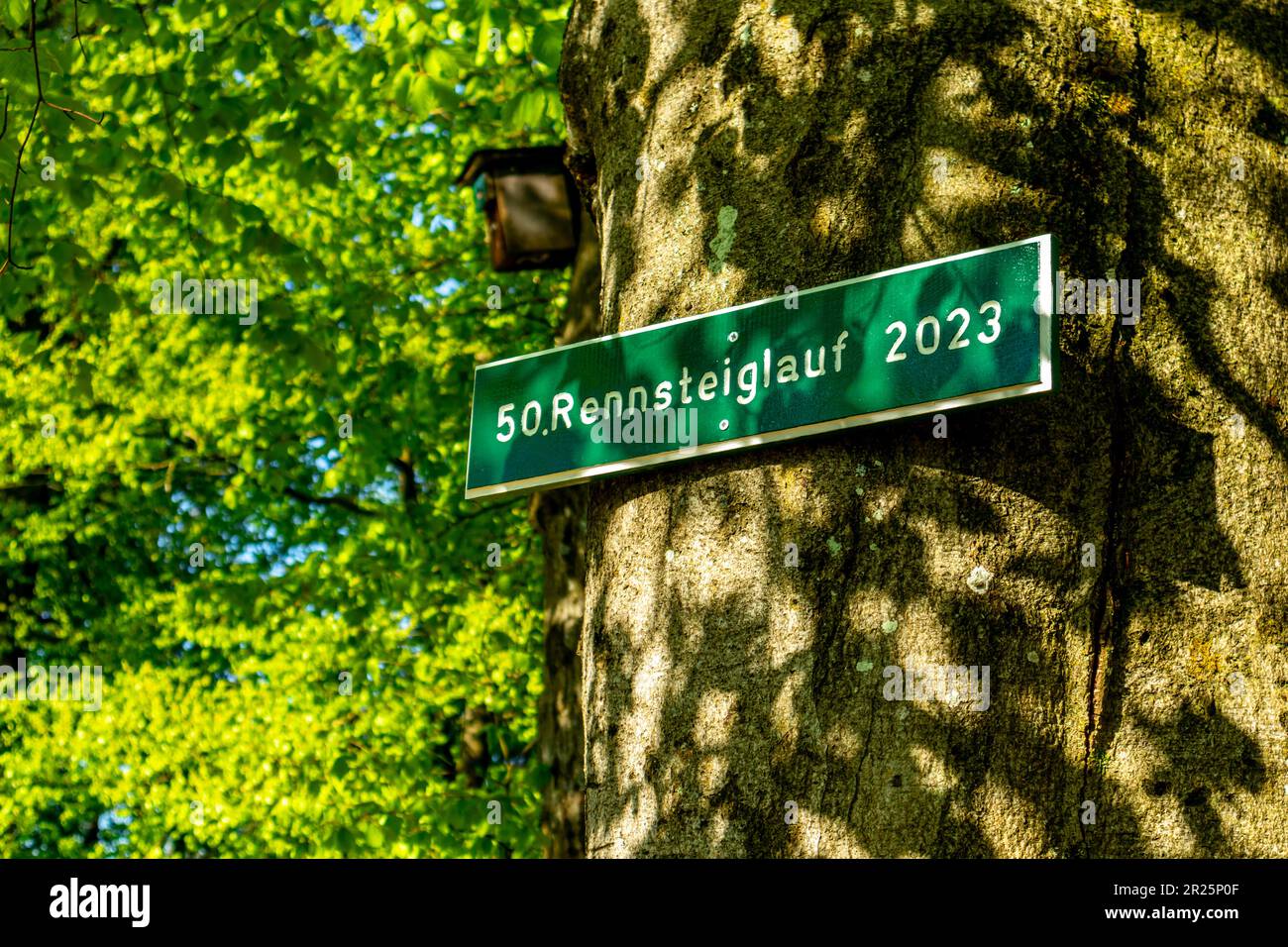 First steps along the Rennsteig between Hörschel and Blankenstein in ...