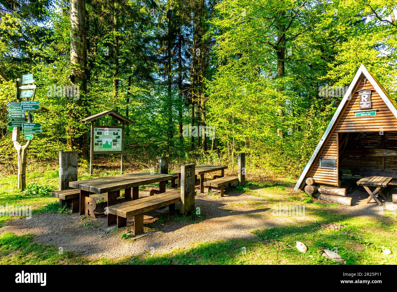 First steps along the Rennsteig between Hörschel and Blankenstein in ...