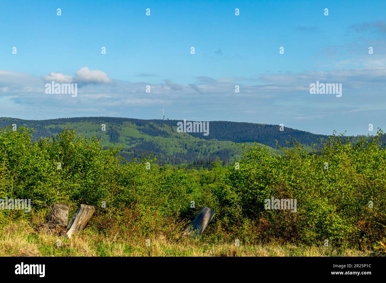 First steps along the Rennsteig between Hörschel and Blankenstein in ...