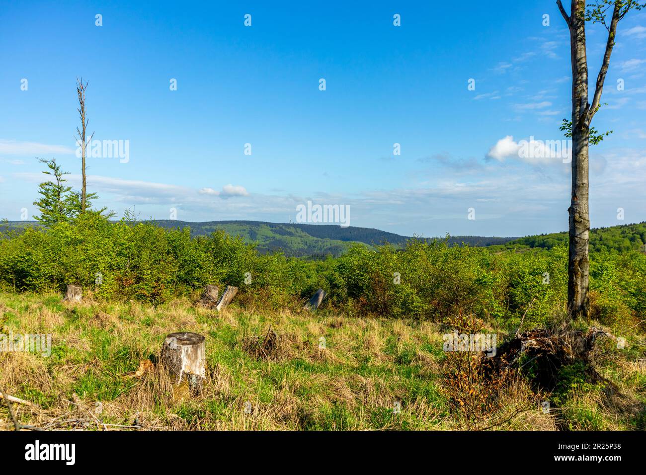 First steps along the Rennsteig between Hörschel and Blankenstein in ...
