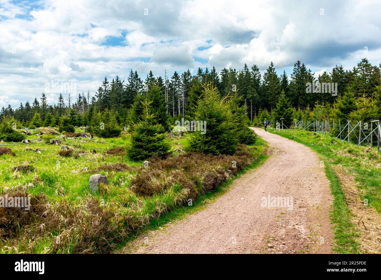 First steps along the Rennsteig between Hörschel and Blankenstein in ...