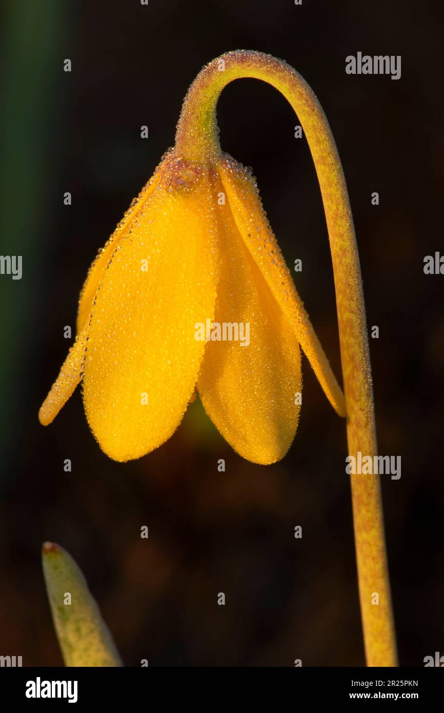 Hill management hi-res stock photography and images - Alamy