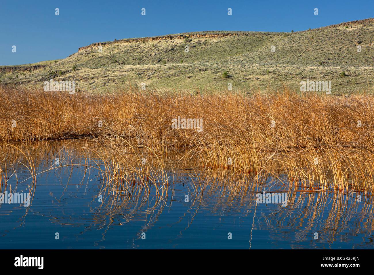 Krumbo Reservoir, Malheur National Wildlife Refuge, Oregon Stock Photo ...