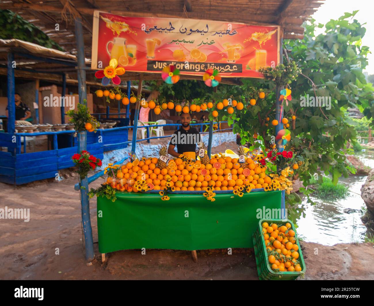 Azilal, Morocco - 29 April 2023 : Orange juice seller in Ouzoud in the ...