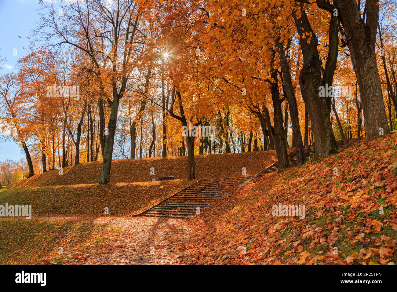 Autumn park landscape . Golden autumn in the city park. Photos on the ...