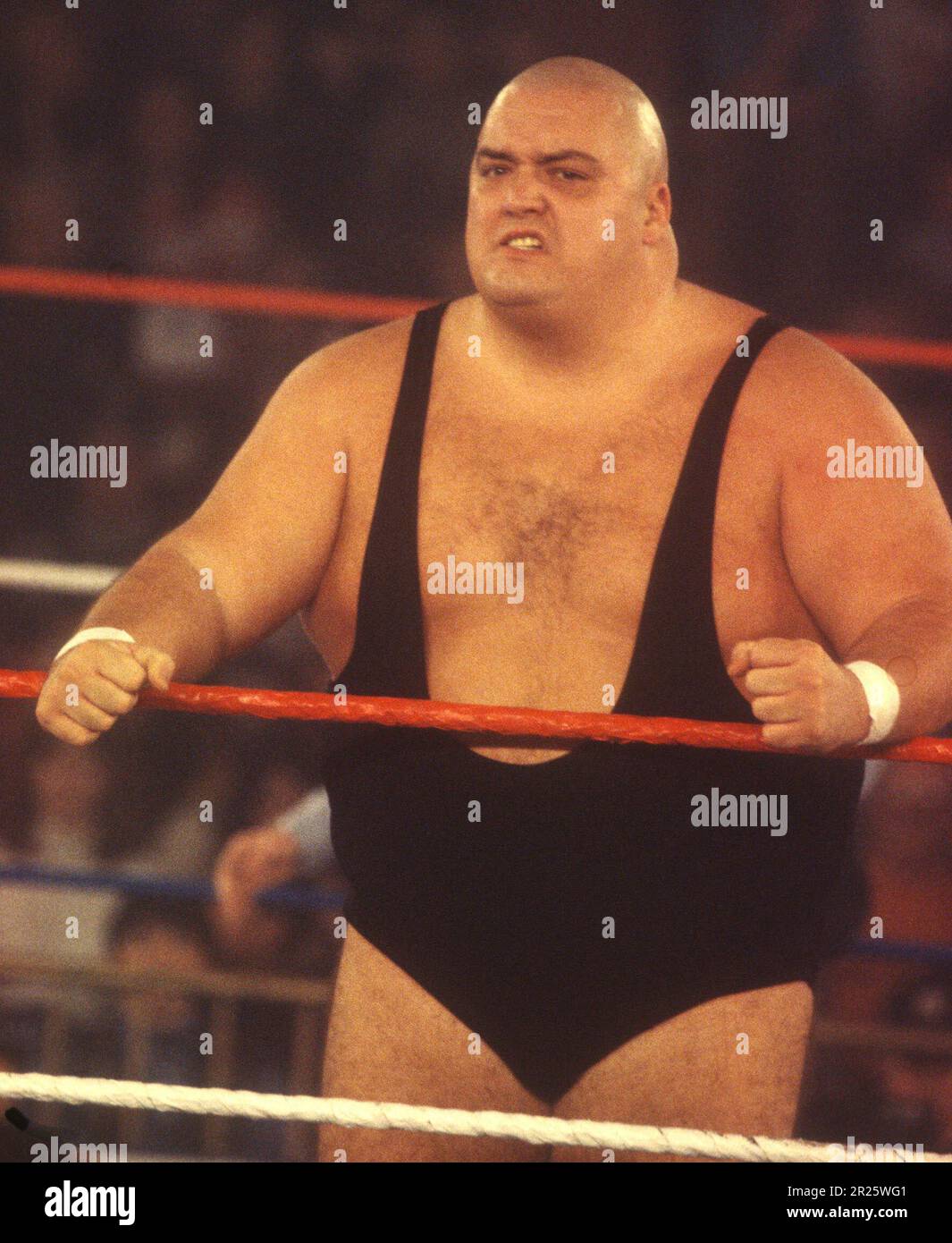1994 King Kong Bundy John Barrett/PHOTOlink Stock Photo - Alamy