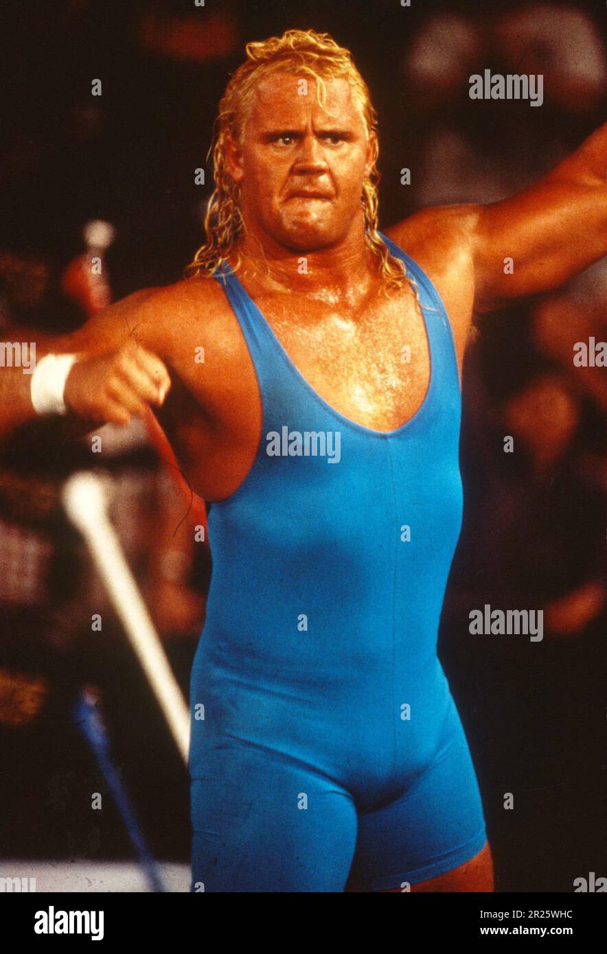1995 Mr Perfect John Barrett/PHOTOlink Stock Photo - Alamy