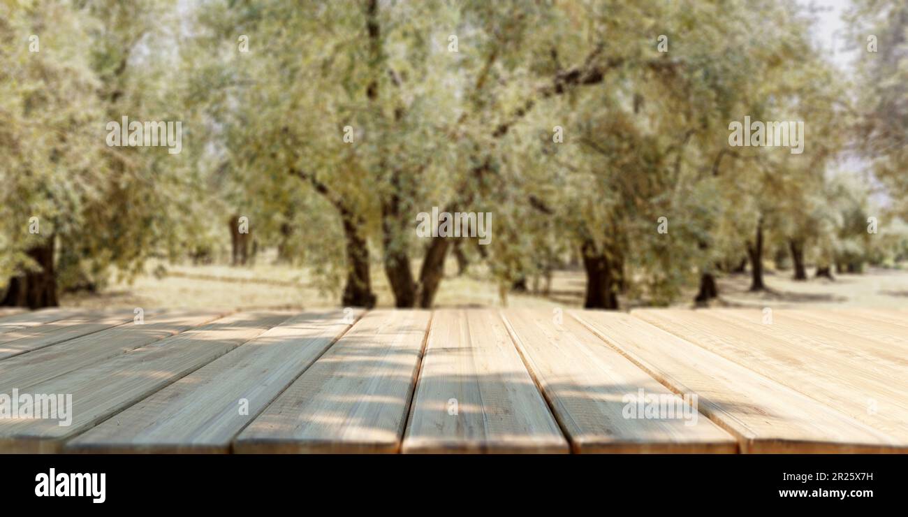Empty wooden table, olive trees grove view out of open window. Template ...