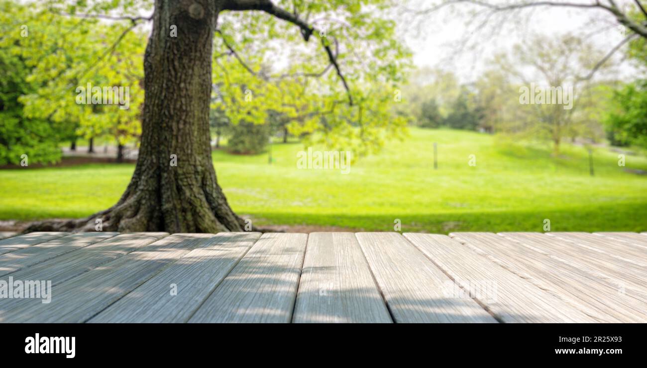 Empty wooden table outdoors, blur green park and garden, nature ...