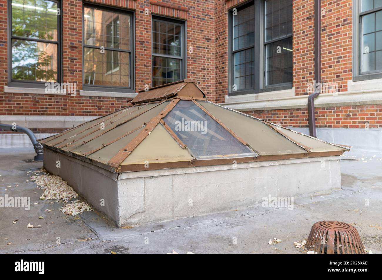 Flat Roof Skylight Home Depot at Brodie Eldershaw blog