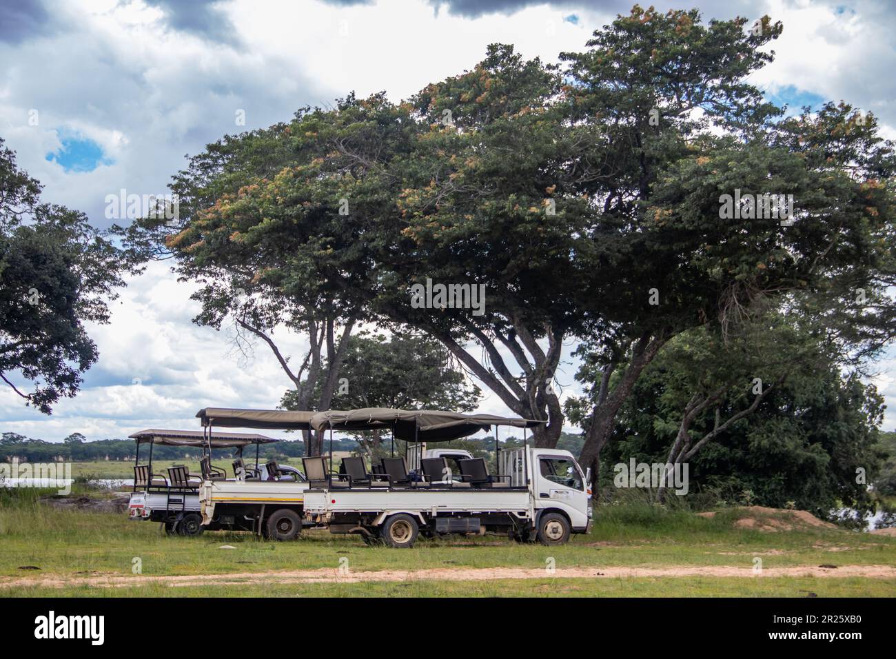Safari open vehicle parked in deep shade under the tree, tourists ...