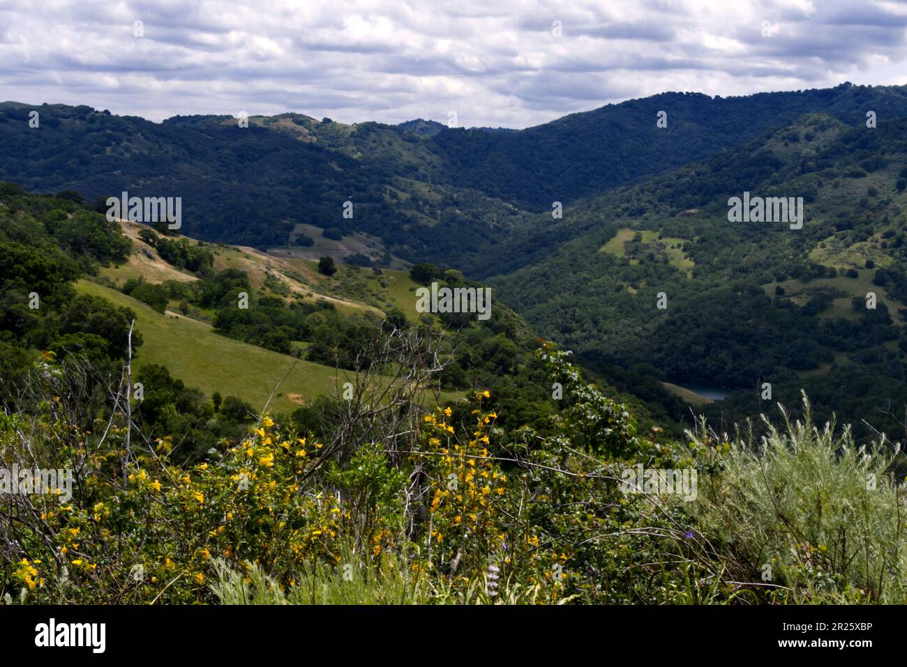 Almaden hills hi-res stock photography and images - Alamy