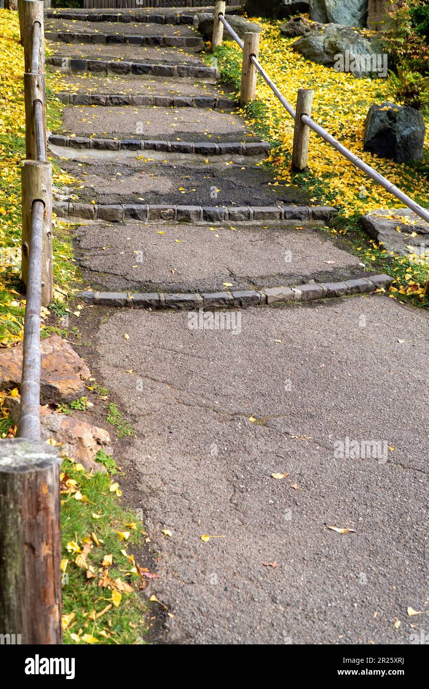 Bamboo pathway hi-res stock photography and images - Alamy