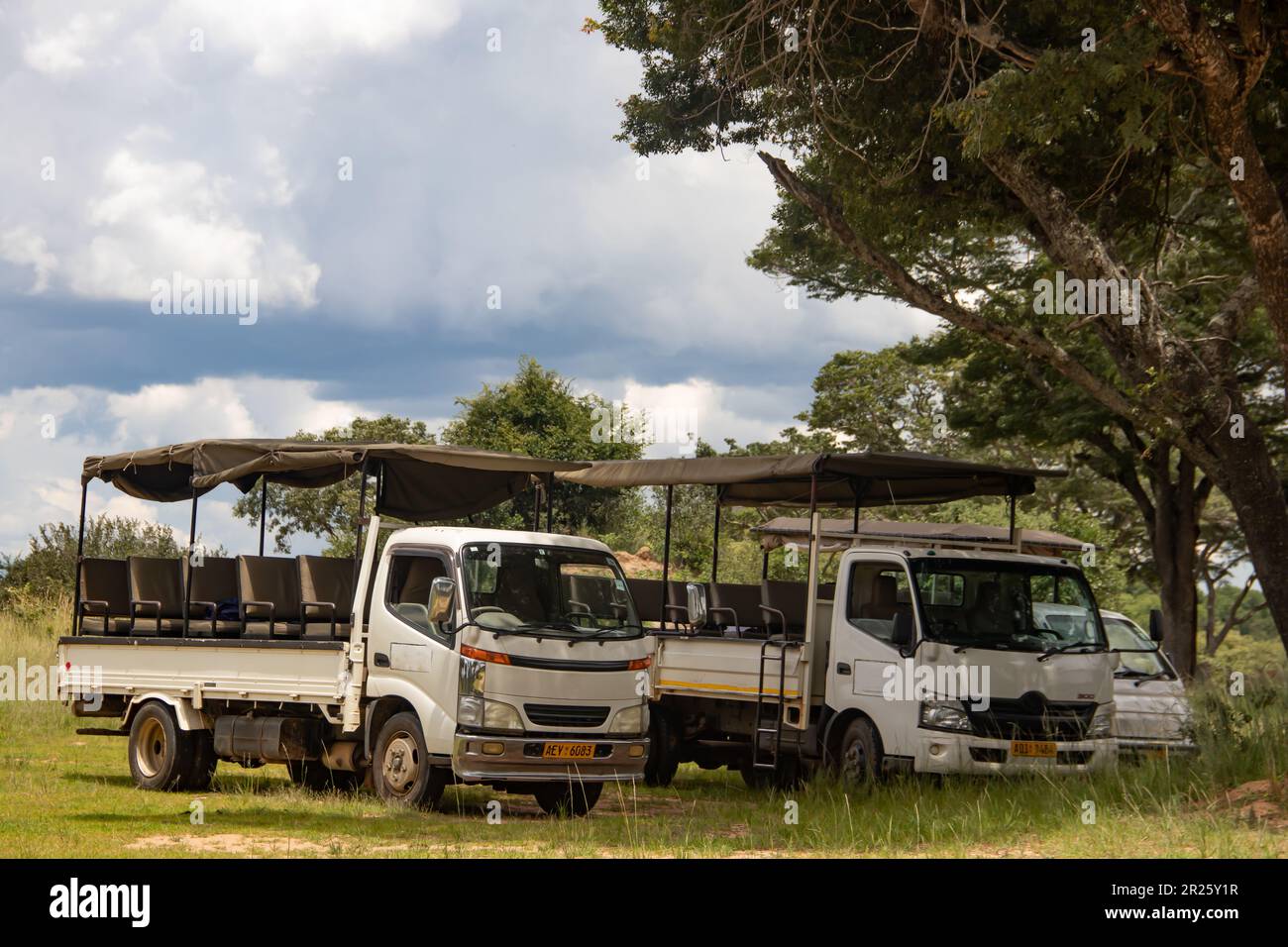 Safari open vehicle parked in deep shade under the tree, tourists ...