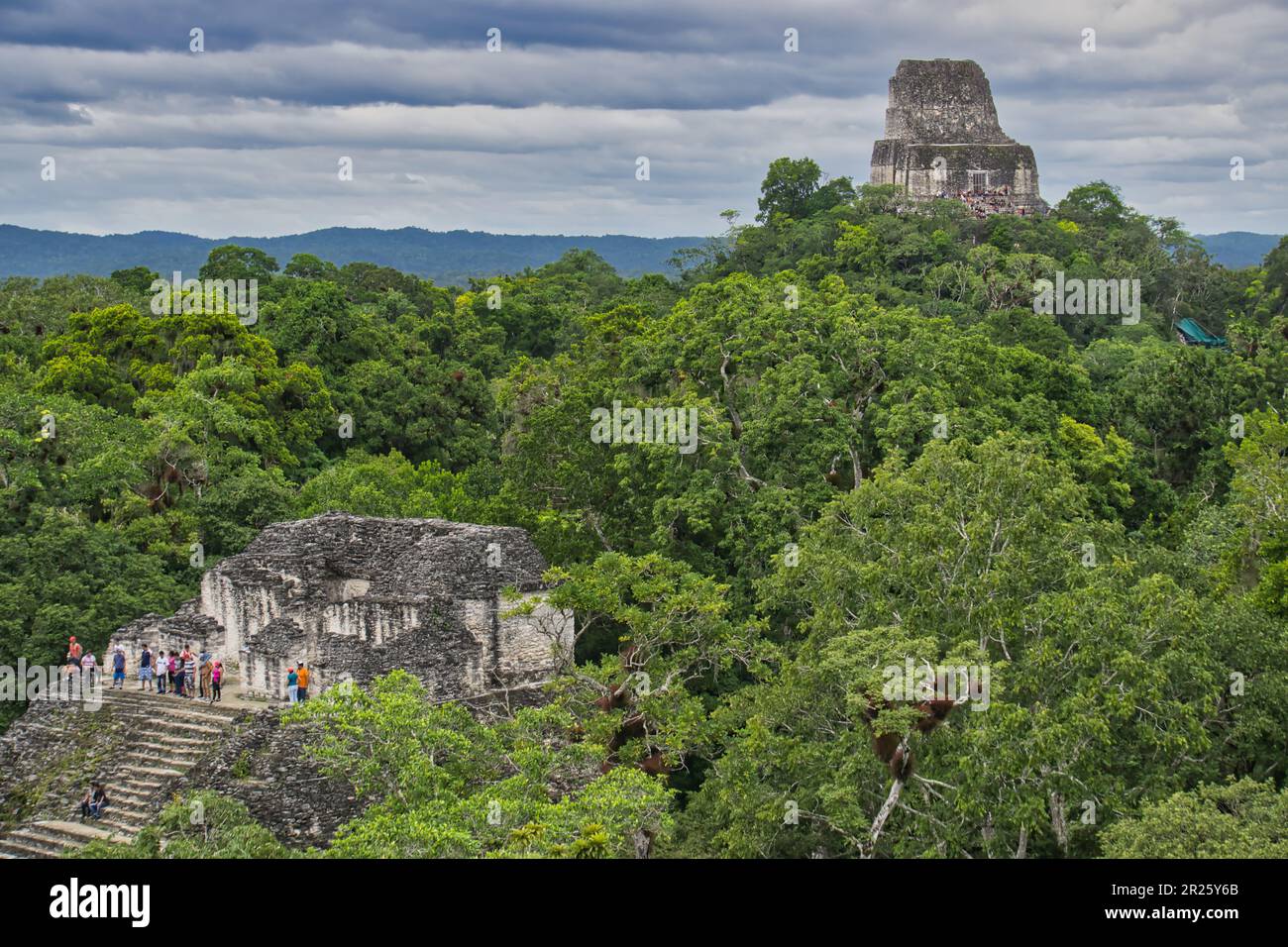 World heritage site rainforests hi-res stock photography and images - Alamy