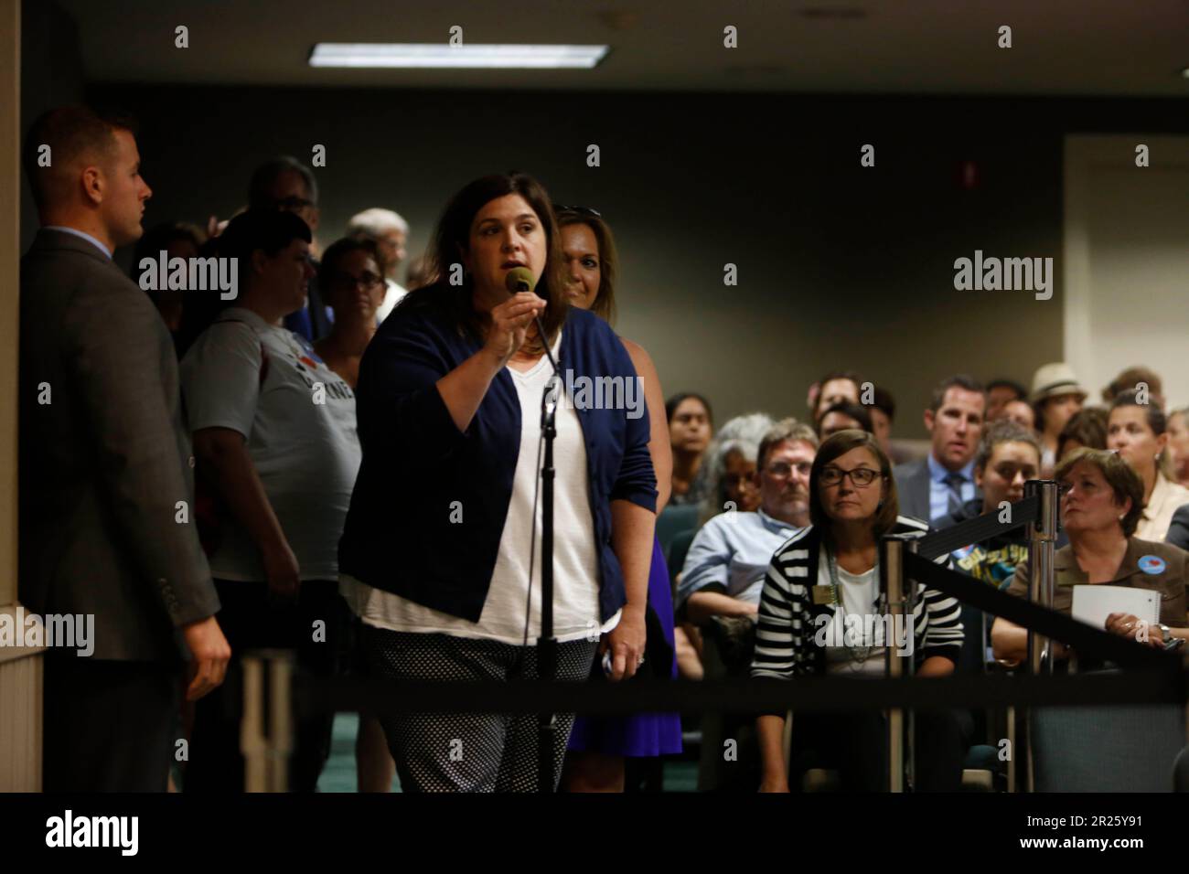 Dana Williamson, cabinet secretary in the Office of the Governor, gives ...