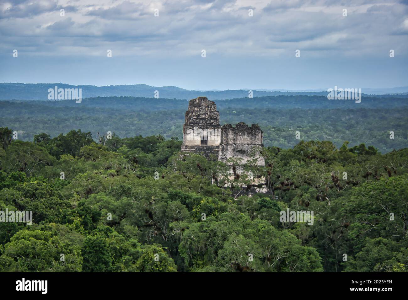 Rainforests in guatemala hi-res stock photography and images - Alamy
