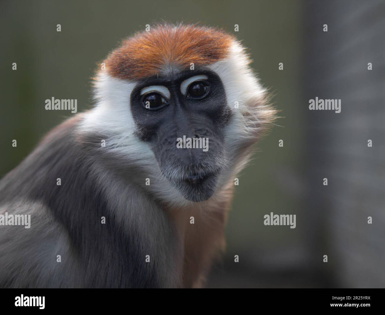 African eating hi-res stock photography and images - Alamy