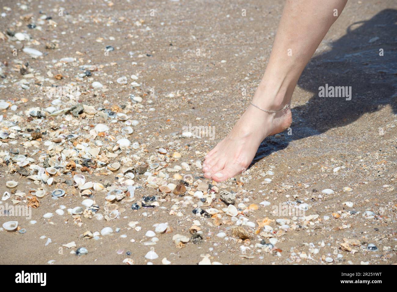 Right foot of a woman touching the sand and shells at Guaibim beach, in ...