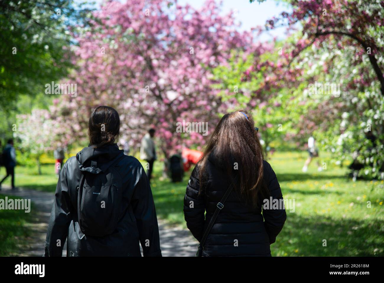 Montreal, Canada - May 14 2023: Trourists and Blossom colorful flowers ...